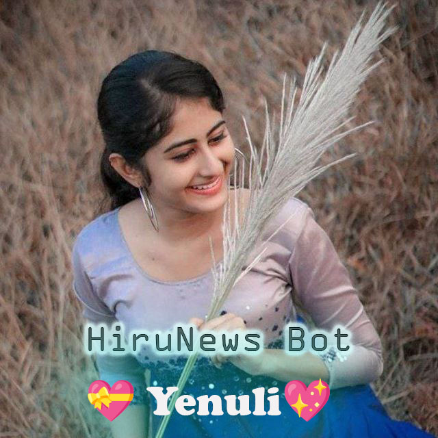 Nipun Sangeeth - Personal Portfolio